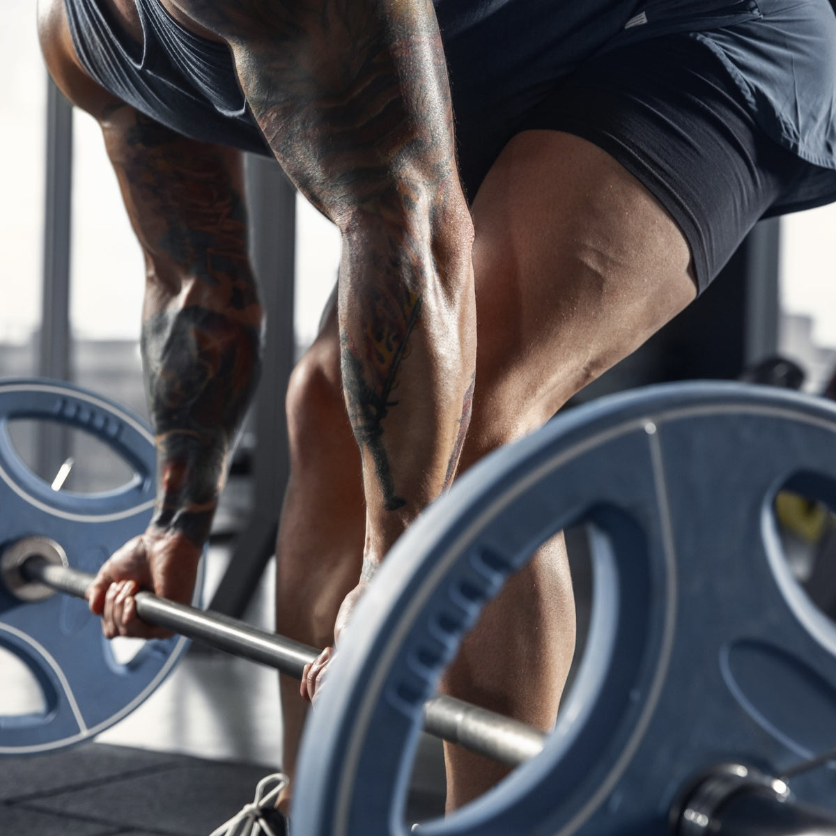 EZ Bicep Barbells – Fitmax Srl