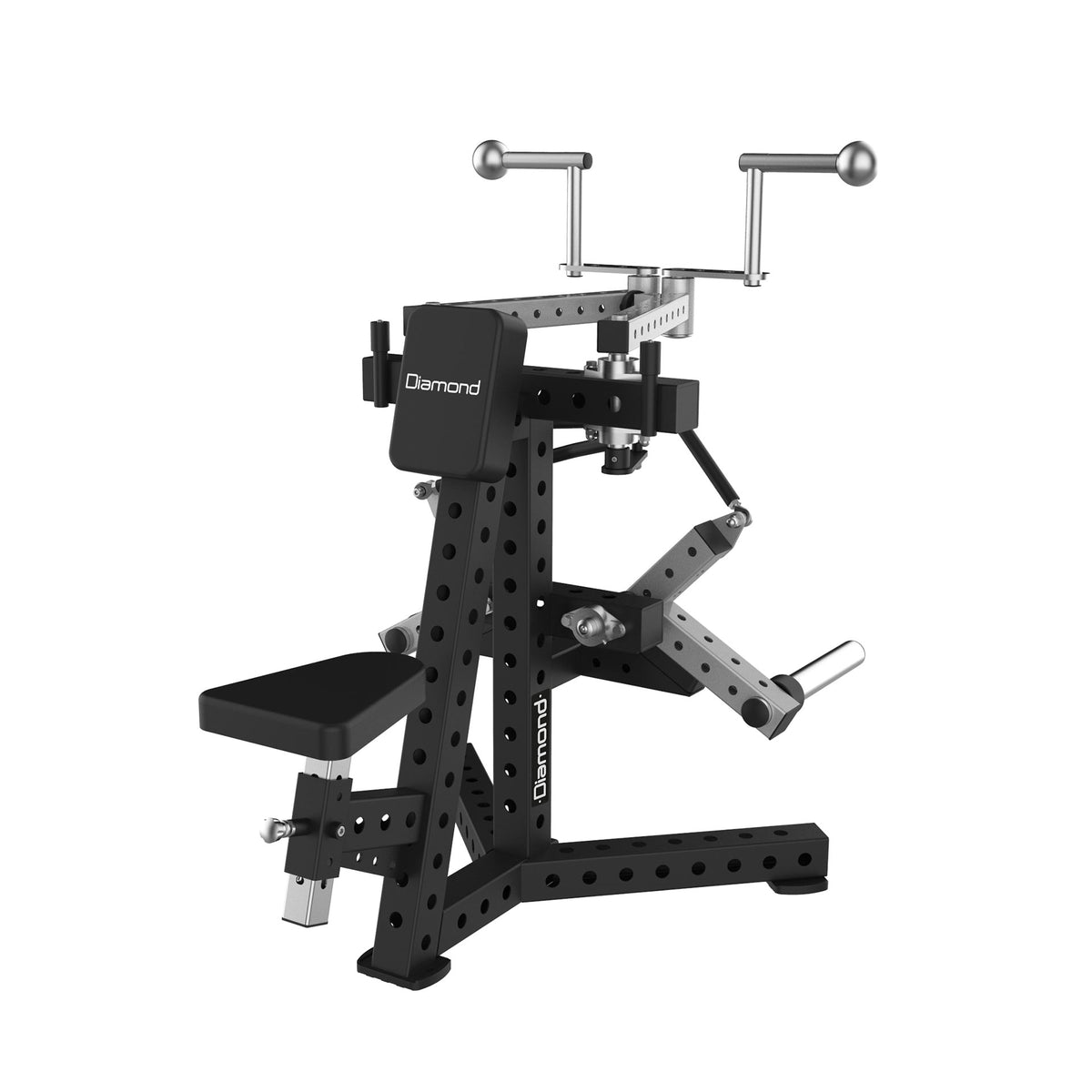 Diamond Rear Delt Series Rigs - PL300-REARDELT – Fitmax Srl
